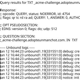 Dns No TXT Record Found At Acme Challenge Domain Tld Help Let S Encrypt Community Support