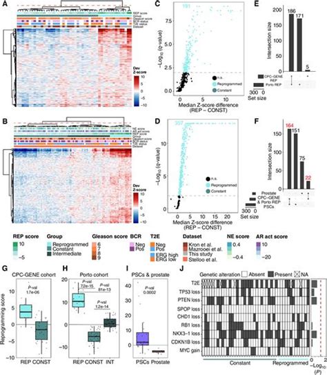 Transposable Elements Are Co Opted As Oncogenic Regulatory Elements By Lineage Specific