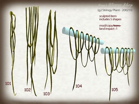 Second Life Marketplace G Stringy Plant 200210