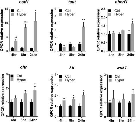Hypertonic Stress Induces Differential Gene Expression Of Osmotic Download Scientific Diagram