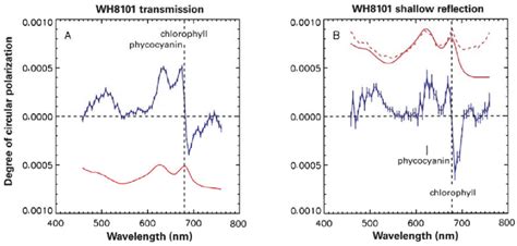Circular Polarization Spectra Of Cyanobacteria Wh8101 Fig 2a