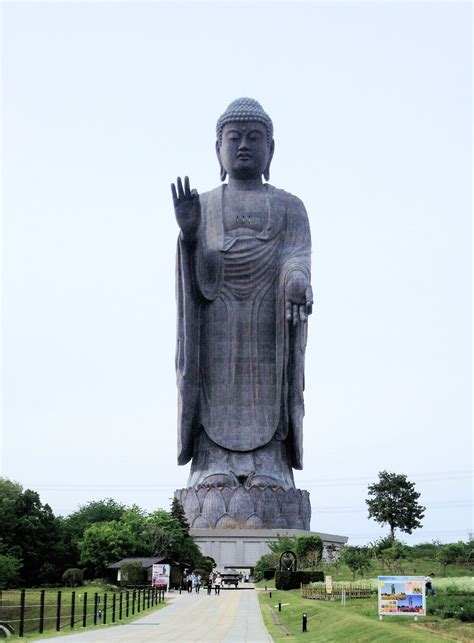 『牛久大仏』の高さ・大きさは？いつ・なぜ・誰によって作られた？ Purple Days