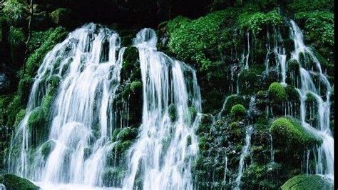 4月最后13天，财富暴涨，金钱堆成山，荣华富贵享不尽的3生肖
