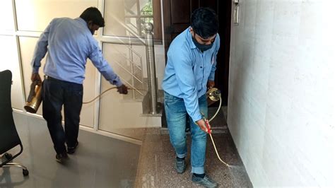 Best Quality And Affordable Price Government Approved Pest Control