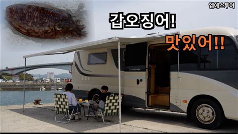 엠에스투어 갑오징어 포인트는 여기 갑오징어 혼내준 사연 중고 캠핑카 브라운모빌 카운티 캠핑카 캠핑카 여행 르노마스터 삼천포 갑오징어 낚시