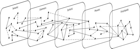 Possible Layers Of The Lexicon Dashed Lines Symbolize Individual Download Scientific Diagram