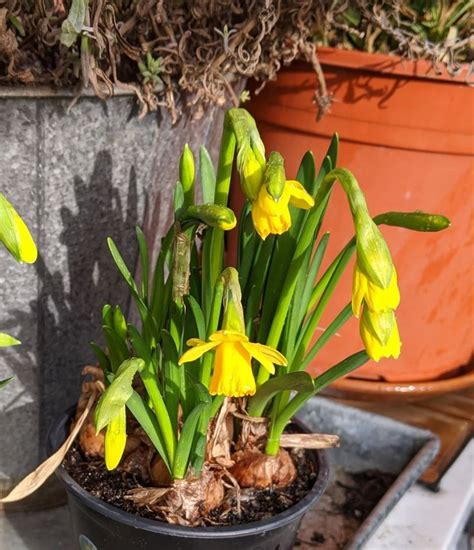 Five Bar Parallel Scara Duet3d Five Bar Parallel Bar