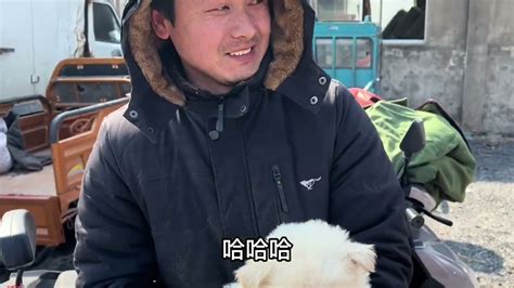 狗狗是人类的好朋友，我们要善待它！喜欢萌宠的朋友点点关注 Youtube