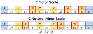 What Are SCALE DEGREES Everything You Need To Know