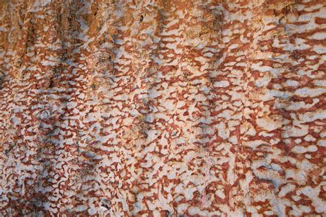 Redoximorphic Features Relic Redox Concentrations Or Plin Flickr