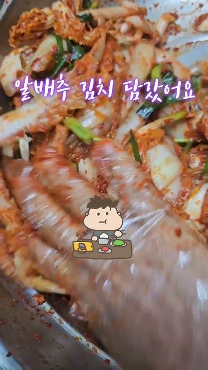 배추김치 알배추 김치 Youtube