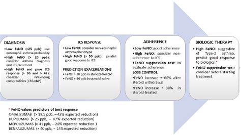 Figure 1 From Fractional Nitric Oxide Measurement In Exhaled Air Feno