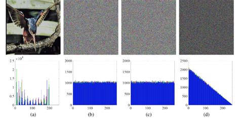 Key Sensitivity Analysis In The Encryption Process A Plain Colour