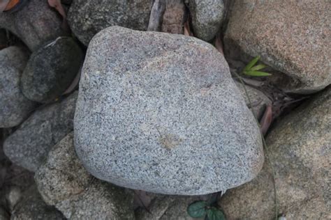 Granite Is Felsic Intrusive Plutonic Igneous Rock On Nature Background