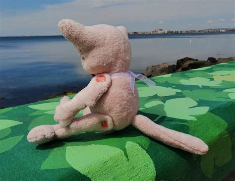 Personalized Adult Toy Sexy Teddy Bear Cat Etsy