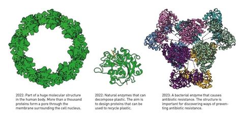 David Baker Becomes A Protein Constructor The Field Of Protein Design