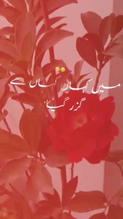 Islamic Viral Love Lovepalestine Islamiclove Youtube Explore