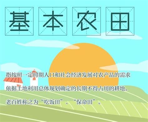 什么是基本农田什么是高标准农田差别有多大 河北五行圆农业科技集团