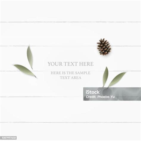 나무 배경 평면 위치 평면도 우아한 흰색 구성 종이 식물원 식물 잎 솔 방울 꽃 0명에 대한 스톡 벡터 아트 및 기타 이미지 0명 계절 구도 Istock