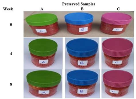 Colour Of The Test Samples Before And During Preservation Download