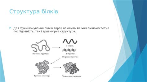 Презентація Склад та будова білків Презентація Біологія