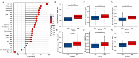 Cells Free Full Text Low Expression Of Phosphodiesterase 2 Pde2a
