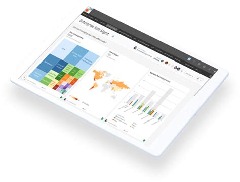 Rmis The Definitive Guide To Risk Management Information Systems