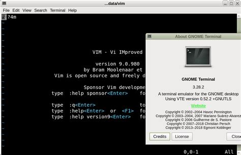 Funny Characters Happen On Gnome Terminal Mate Terminal Starting From