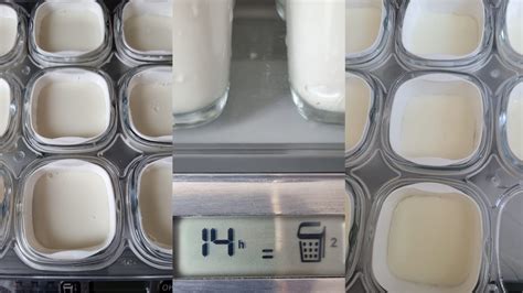 Skyr Maison à la Multidélice Gourmandise Assia