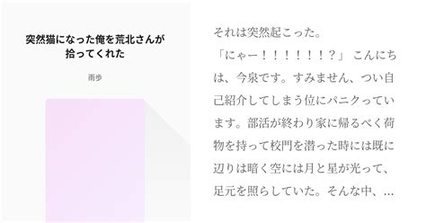 弱虫ペダル 荒北靖友 突然猫になった俺を荒北さんが拾ってくれた 雨歩の小説 Pixiv
