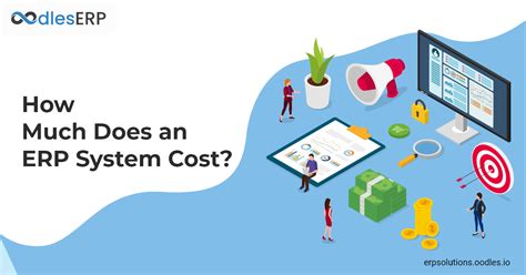 cost estimations for erp software development