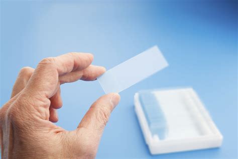 How To Clean A Slide Cleanestor