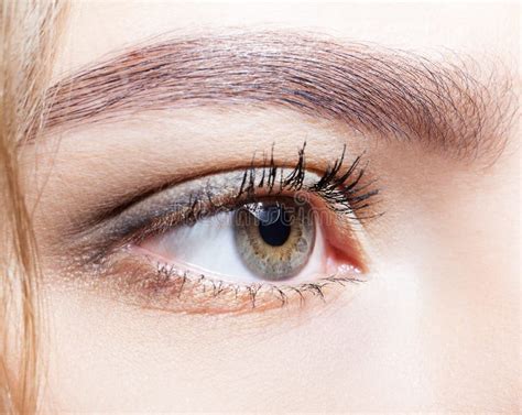 Close Up Shot Of Female Eye Makeup Stock Image Image Of Glamor Face