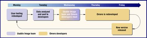 Weekly User Evaluation Cycle The Usable Image Team Records Users