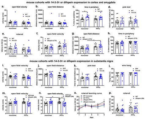 14 3 3 Mitigates Alpha Synuclein Aggregation And Toxicity In The In