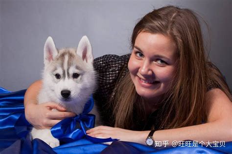 养一只哈士奇是什么体验？主人：你别过来呀 知乎