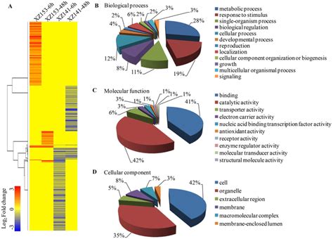 Hierarchical Cluster And Gene Ontology Go Categories Analysis Of