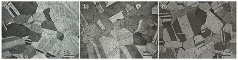 Optical Microscope Om Images Showing The Original Microstructures Of Download Scientific
