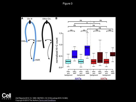 Volume 13 Issue 9 Pages December 2015 Ppt Download