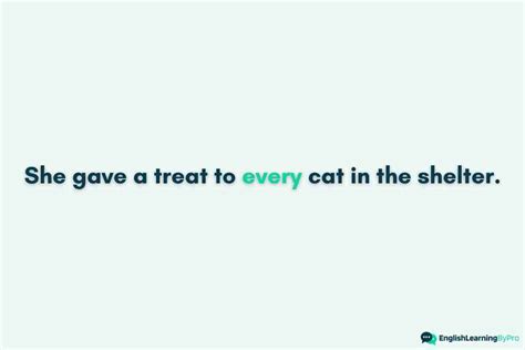 How To Teach Distributive Adjectives With Examples Englishlearningbypro