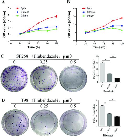Flubendazole Inhibits Cell Proliferation In Human Glioma Cells A B