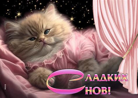 Волшебная и чарующая открытка с милой кошкой Сладких снов Скачать