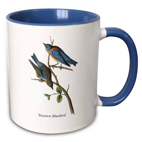 10 Best Bluebird Mugs Top 10 Picks For Bird Lovers Hummingbirds Plus