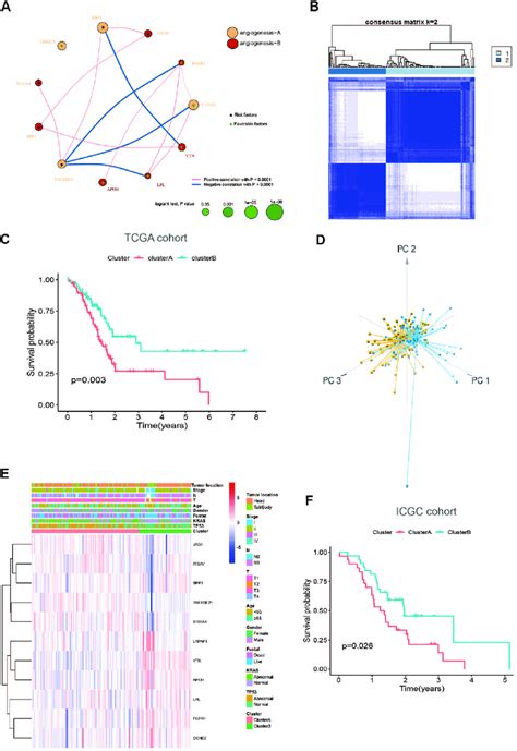 Identification Of Angiogenesis Subtypes In Pc A A Network Of
