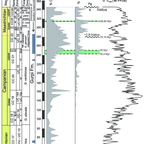 Integrated Biostratigraphy And Bulk Carbonate Carbon Isotope Records Of