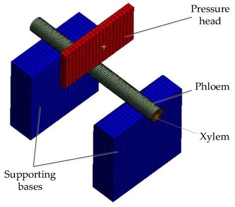 Agronomy Free Full Text Research On The Construction Of A Finite Element Model And Parameter