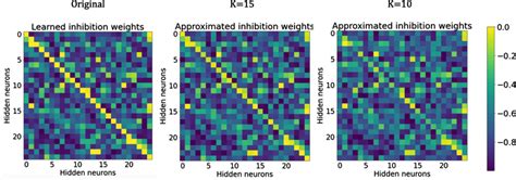 Original Weight Values Of Inhibitory Connections Of The Pretrained Download Scientific Diagram