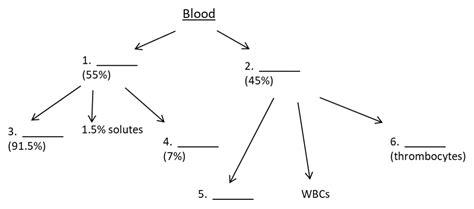 Solved Match The Numbers In The Concept Map To The Correct Chegg Com