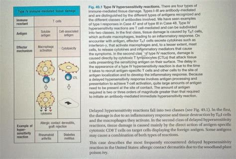 Solved A Delayed Hypersensitivity Reaction To A Hapten