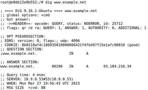 DNS Cache Poisoning